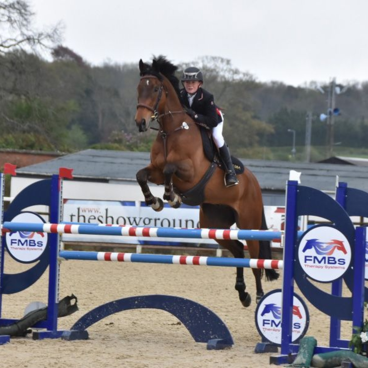 Ivybridge Community College - Jake Selected for British Showjumping Team